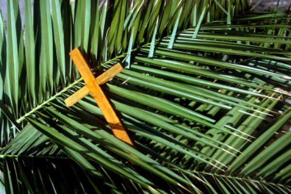 Lenten Journey - Palm Sunday - KineticsLive.com